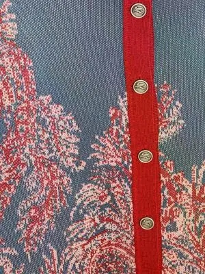 Etro Paisley-jacquard Button-front Skirt