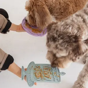 DEXYPAWS Enrichment Lick Mat