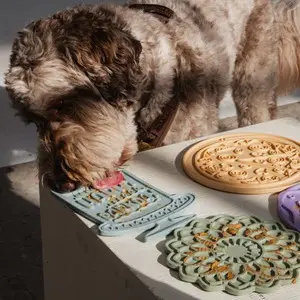 DEXYPAWS Enrichment Lick Mat