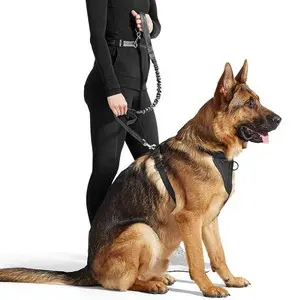 JESPET Hands Free Bungee Dog Leash Medlg Dogs