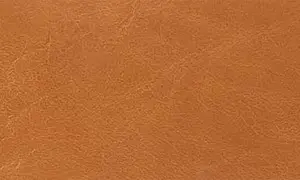 Hobo Sheila Leather Top Handle Tote - Natural