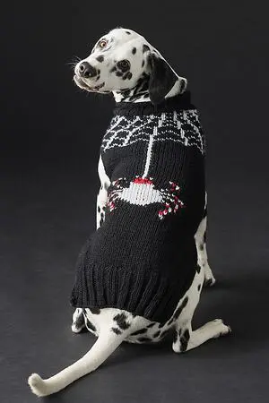 Anthropologie Halloween Pet Sweater - Spiderweb