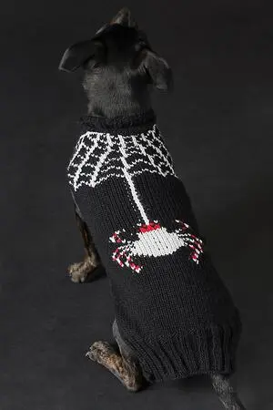 Anthropologie Halloween Pet Sweater