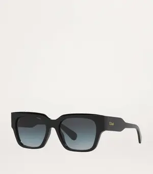 Chloé Acetate Sunglasses