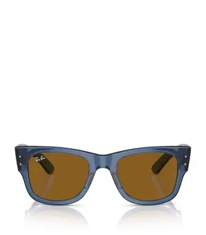 Ray-ban Propionate 0rb0840s Sunglasses