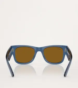 Ray-ban Propionate 0rb0840s Sunglasses