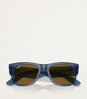 Ray-ban Propionate 0rb0840s Sunglasses