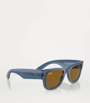 Ray-ban Propionate 0rb0840s Sunglasses