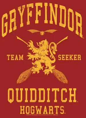 HARRY POTTER Gryffindor Quidditch Seeker Graphic T-shirt