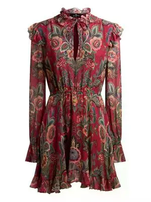 Etro Floral Print Mini Dress - Red