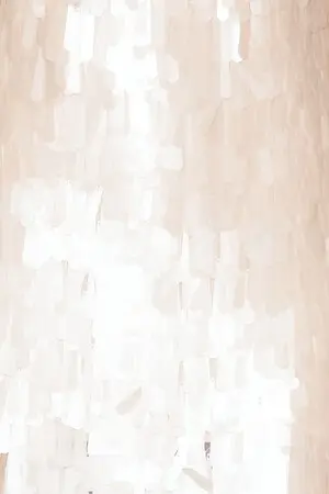 Simkhai Onyx Mini Dress