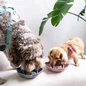 DEXYPAWS Slow Feeder
