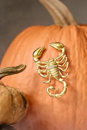 Anthropologie Pumpkin Pin Charms - Scorpion