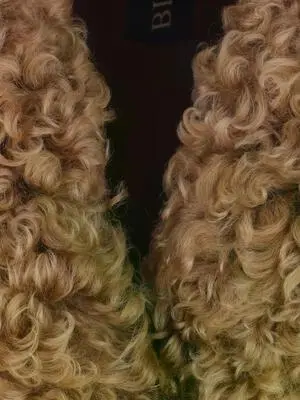 BLANCHA Curly Fleece Coat