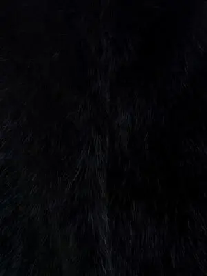 Herno Faux-fur Sleeveless Vest - Black