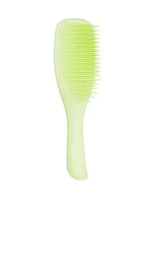 TANGLE TEEZER The Plant Brush For Fine & Fragile Hair