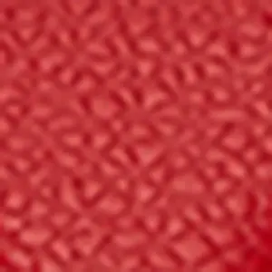 Assouline Leather Archival Magnifying Glass - Red