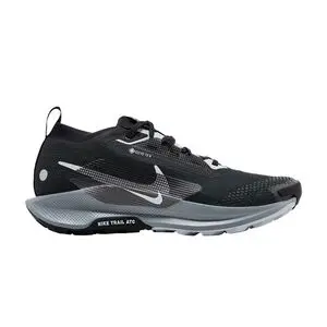 Nike Pegasus Trail Gore-tex - Black