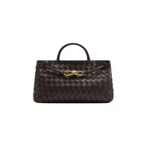 Bottega Veneta East-west Andiamo Bag