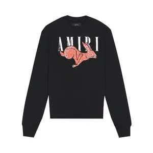 Amiri Crewneck Sweatshirts Hoodies For Women