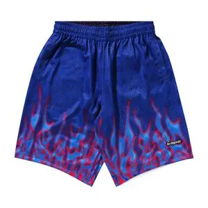 A BATHING APE Basketball Shorts