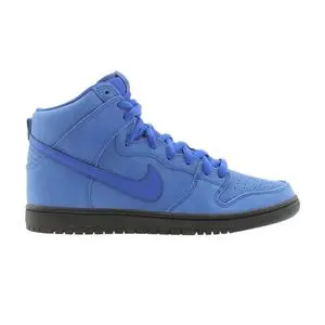 Nike Dunk High Pro Sb Sneakers