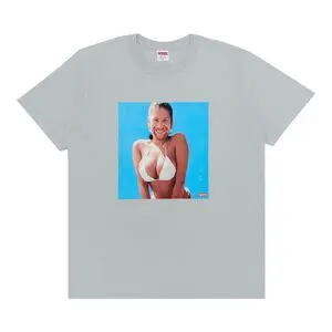 Supreme X Aphex Twin Windowlicker Tee - Grey