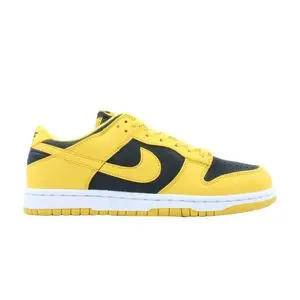 Nike Dunk Low Gs Sneakers