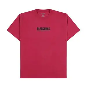 PLEASURES Scripture T-shirt