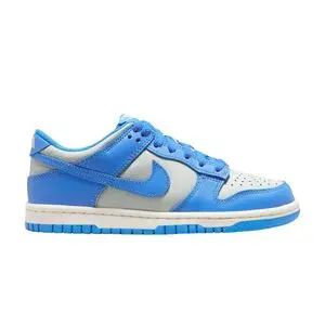 Nike Dunk Low Gs