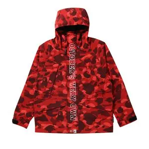 A BATHING APE X Ovo Color Camo Jacket