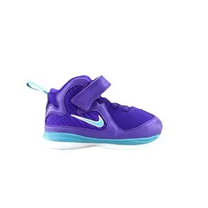 Nike Lebron 9 Td Sneakers