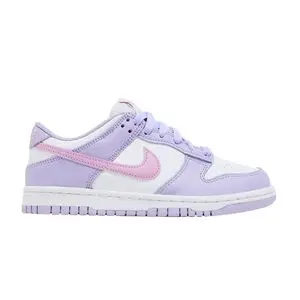 Nike Dunk Low Gs Sneakers