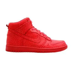 Nike Dunk High Premium