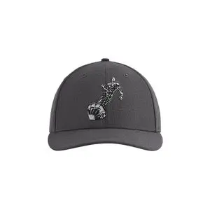 Kith X Marvel Silver Surfer New Era 59fifty Fitted Hat - Grey