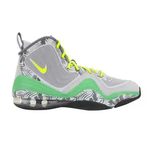 Nike Air Penny 5 Gs - Grey