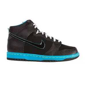 Nike Dunk High Top Sneakers