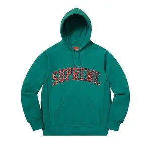 Supreme Water Arc Hooded Sweatshirt