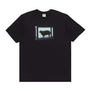 Supreme Supreme X Damien Hirst Tee Black