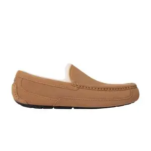 UGG Ascot Slipper - Brown