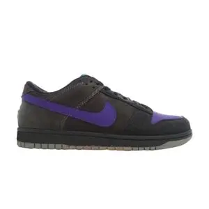 Nike Dunk Low Sneakers