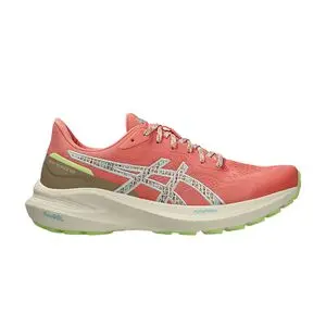 Asics Gt 1000 13 Tr 'nature Bathing
