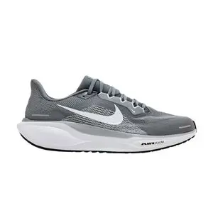 Nike Air Zoom Pegasus 41 - Grey