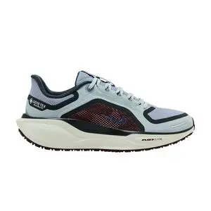 Nike Air Zoom Pegasus 41 Gore-tex 'light Pumice Burgundy Crush' Grey