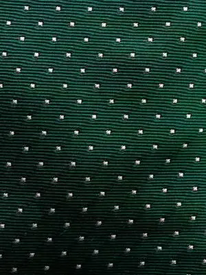 FURSAC Silk Polka Dot Tie