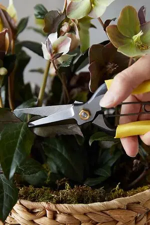 NIWAKI Lightweight Hybrid Snips