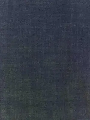 Max Mara Fringed Linen Scarf