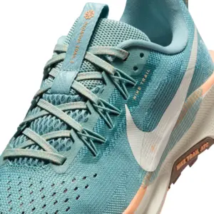 Nike Pegasus Trail Running Shoes