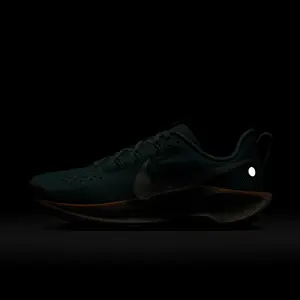 Nike Pegasus Trail Running Shoes