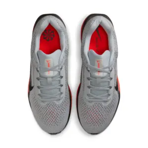 Nike Winflo Road Running Shoes - Grey